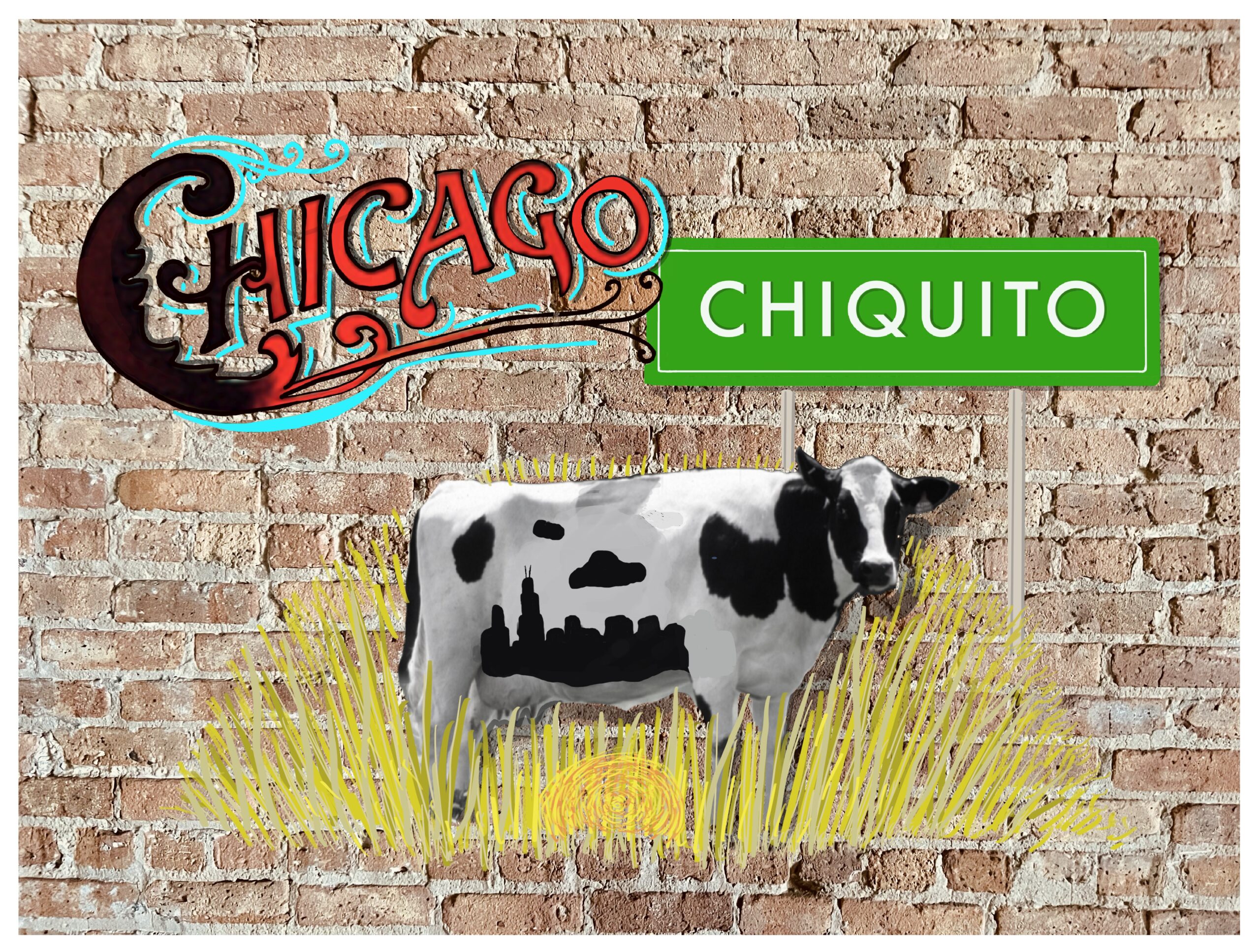 CHICAGO CHIQUITO - Bridgeport Art Center